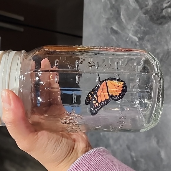 Other | Animated Butterfly In A Jar | Poshmark